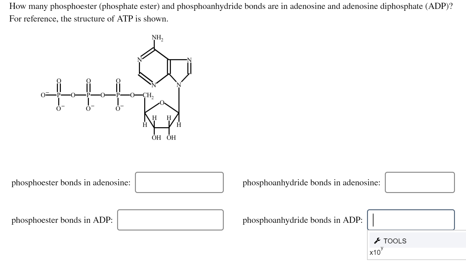 Solved How many phosphoester (phosphate ester) and | Chegg.com