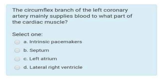 Solved The circumflex branch of the left coronary artery | Chegg.com