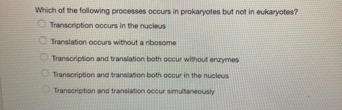 Solved Which of the following processes occurs in | Chegg.com