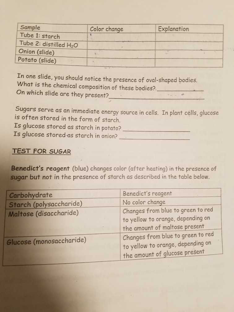 Solved Sample Tube 1: starch Color change Explanation Tube | Chegg.com
