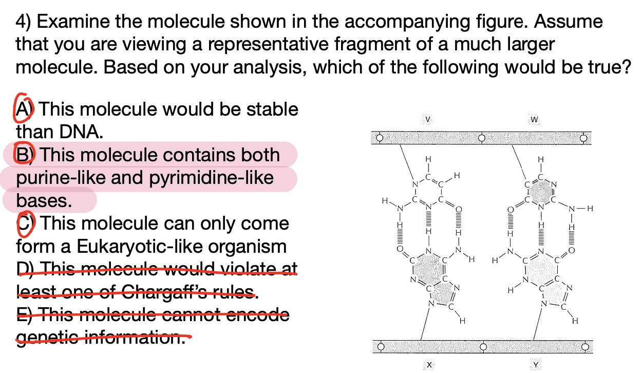 Solved Examine the molecule shown in the accompanying | Chegg.com