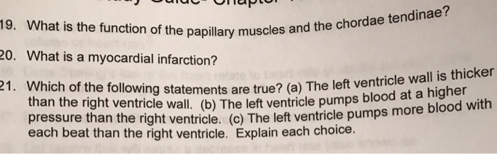 Solved What is the function of the papillary muscles and the | Chegg.com