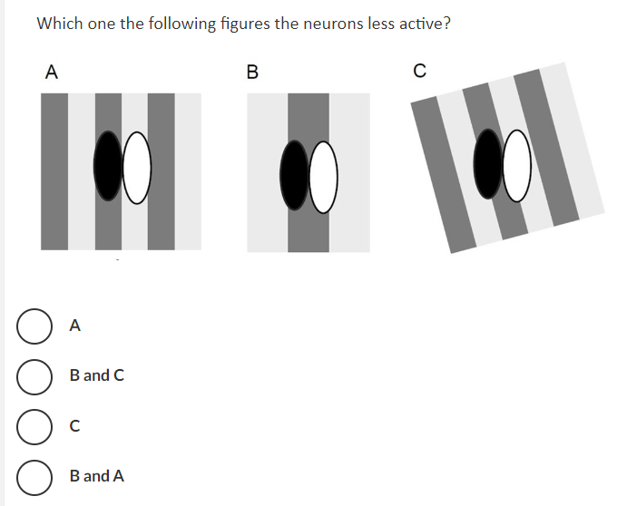 Which one the following figures the neurons less | Chegg.com