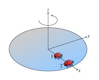 Solved Two ladybugs sit on a rotating disk, as shown in the | Chegg.com