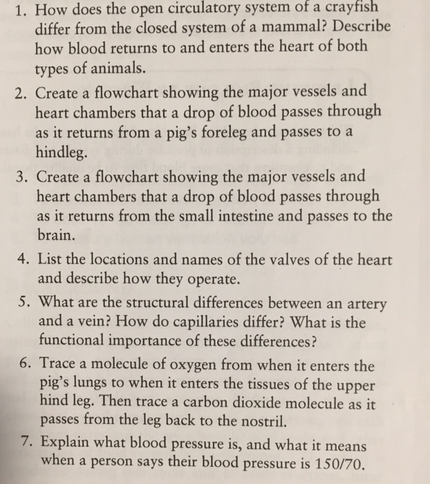 Solved How does the open circulatory system of a crayfish | Chegg.com