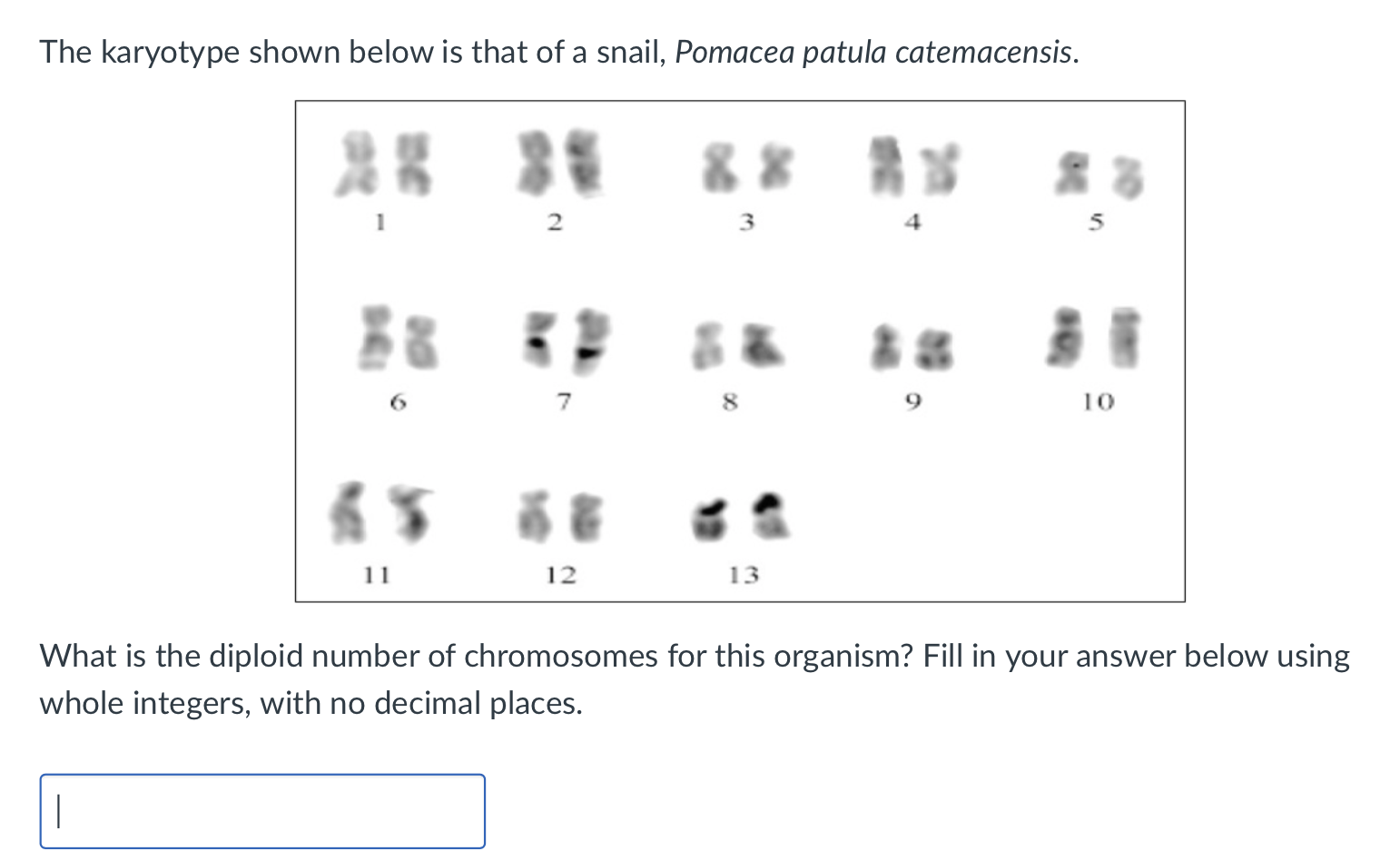 Solved The karyotype shown below is that of a snail, Pomacea | Chegg.com