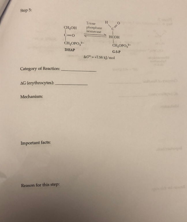 Glycolysis Worksheet Overview of the pathway: Phase I | Chegg.com