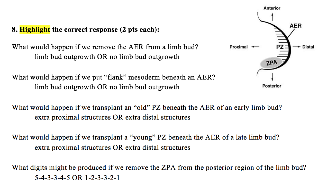 Solved Anterior AER 8. Highlight the correct response (2 pts | Chegg.com
