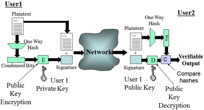 Solved In the above diagram, what is the usual process by | Chegg.com