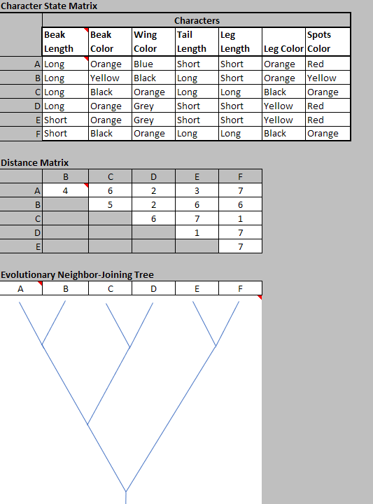 A B с D E F Character State Matrix Beak Color Beak | Chegg.com