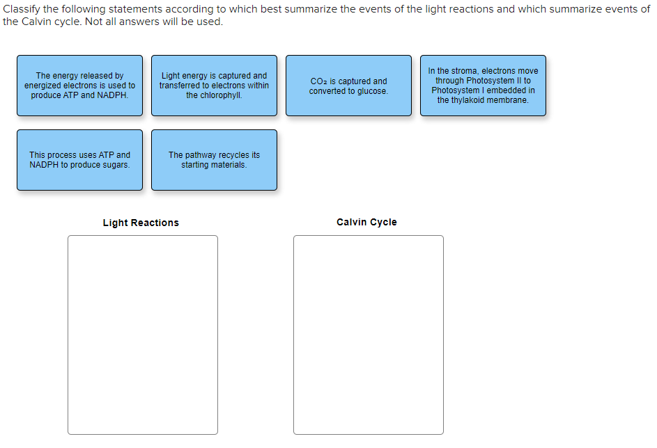 Solved Classify the following statements according to which | Chegg.com