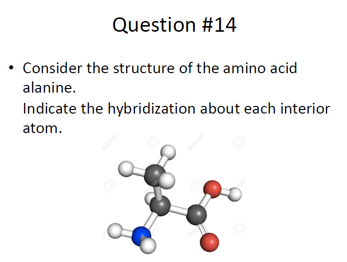 Solved Question #14 Consider the structure of the amino acid | Chegg.com