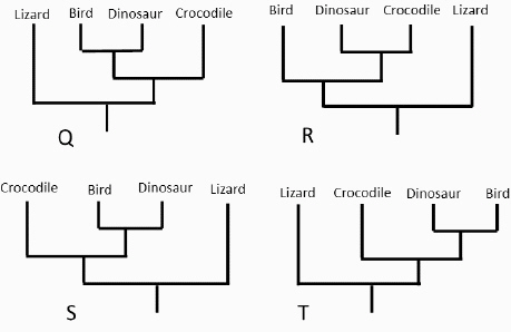 Solved Which of the four trees above depicts a different | Chegg.com