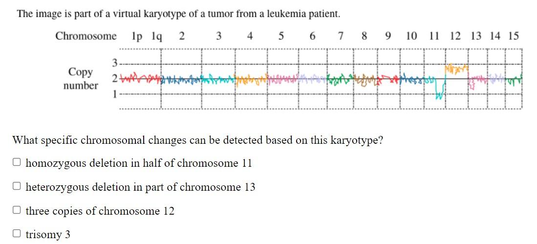 Solved The image is part of a virtual karyotype of a tumor | Chegg.com