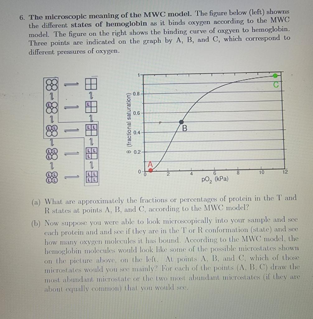 Solved 6 The Microscopic Meaning Of The Mwc Model The 