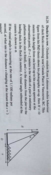 Solved 16.29. Ducks in a row. Graduate student Ryan Lukeman | Chegg.com