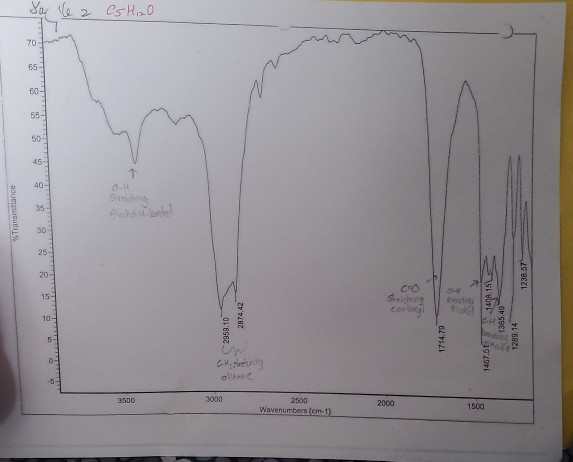 Solved Please help figuring out what the structure and the | Chegg.com