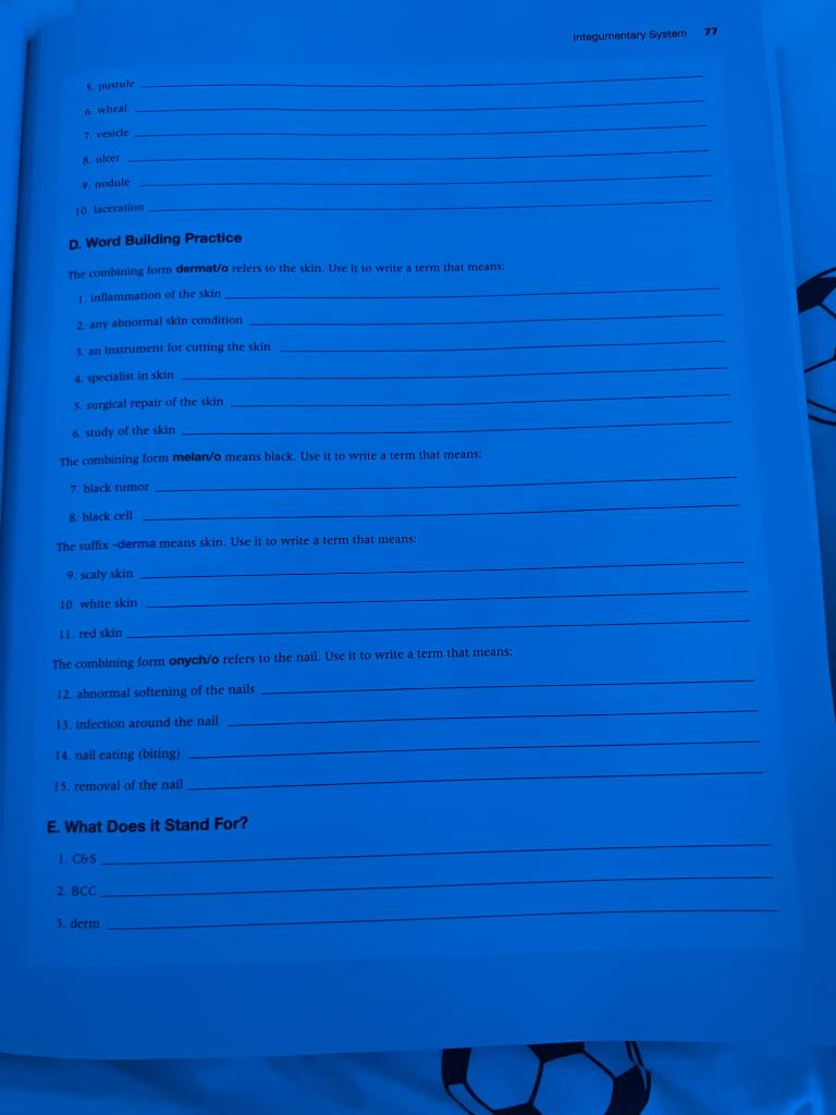 Solved Integumentary system chapter, Practice | Chegg.com