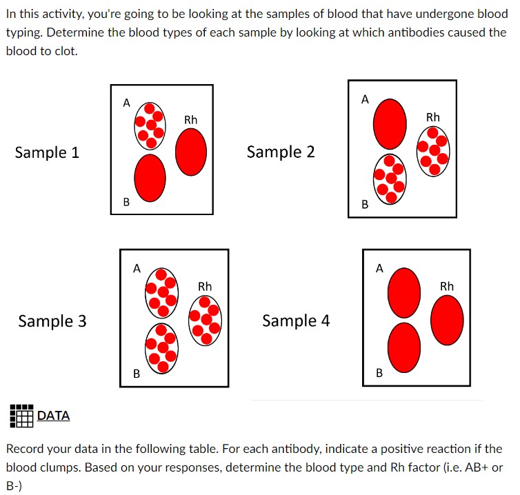 Solved In this activity, you're going to be looking at the | Chegg.com