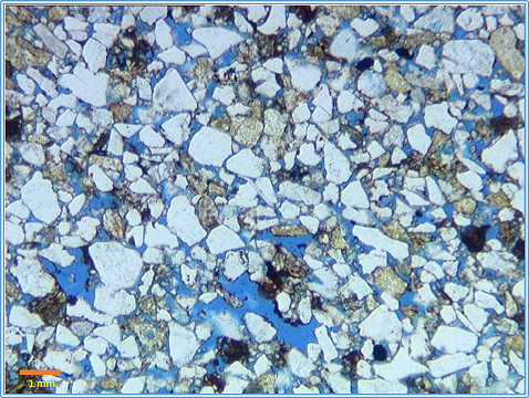 Solved Sample 1: the figure above is a thin section of | Chegg.com