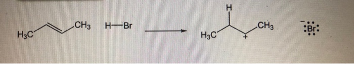 Solved Electrophilic addition of HBr to alkenes yields a | Chegg.com