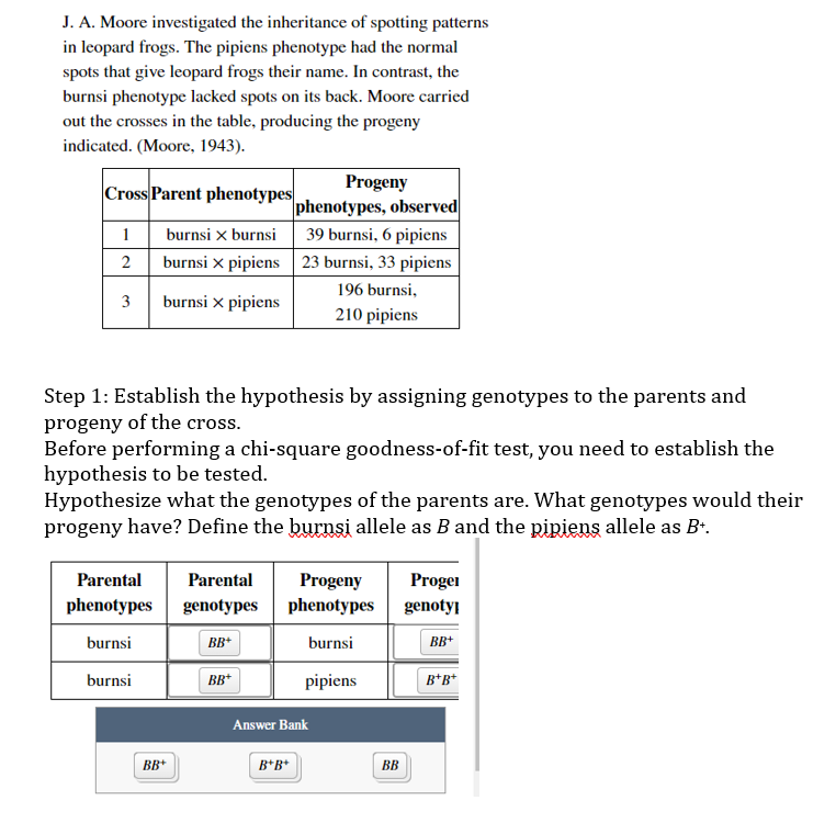 Solved J. A. Moore investigated the inheritance of spotting | Chegg.com