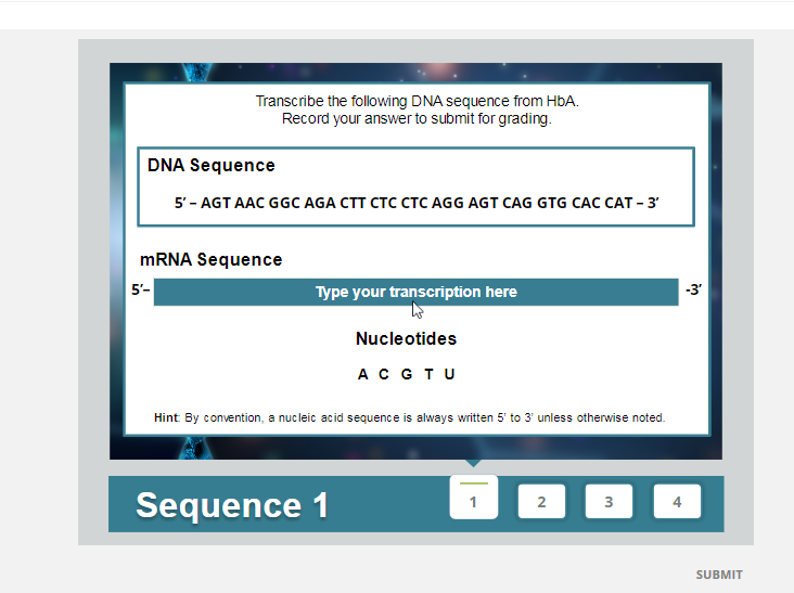 Transcribe the following DNA sequence from HbA.Record | Chegg.com