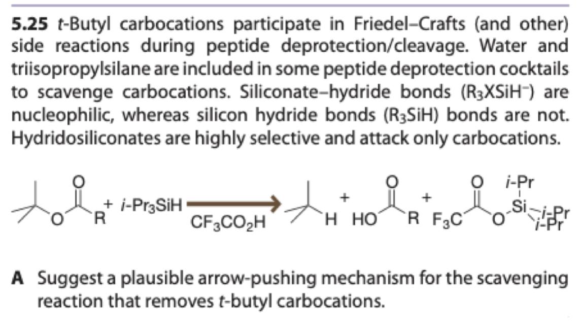 Solved 5.25 t-Butyl carbocations participate in | Chegg.com