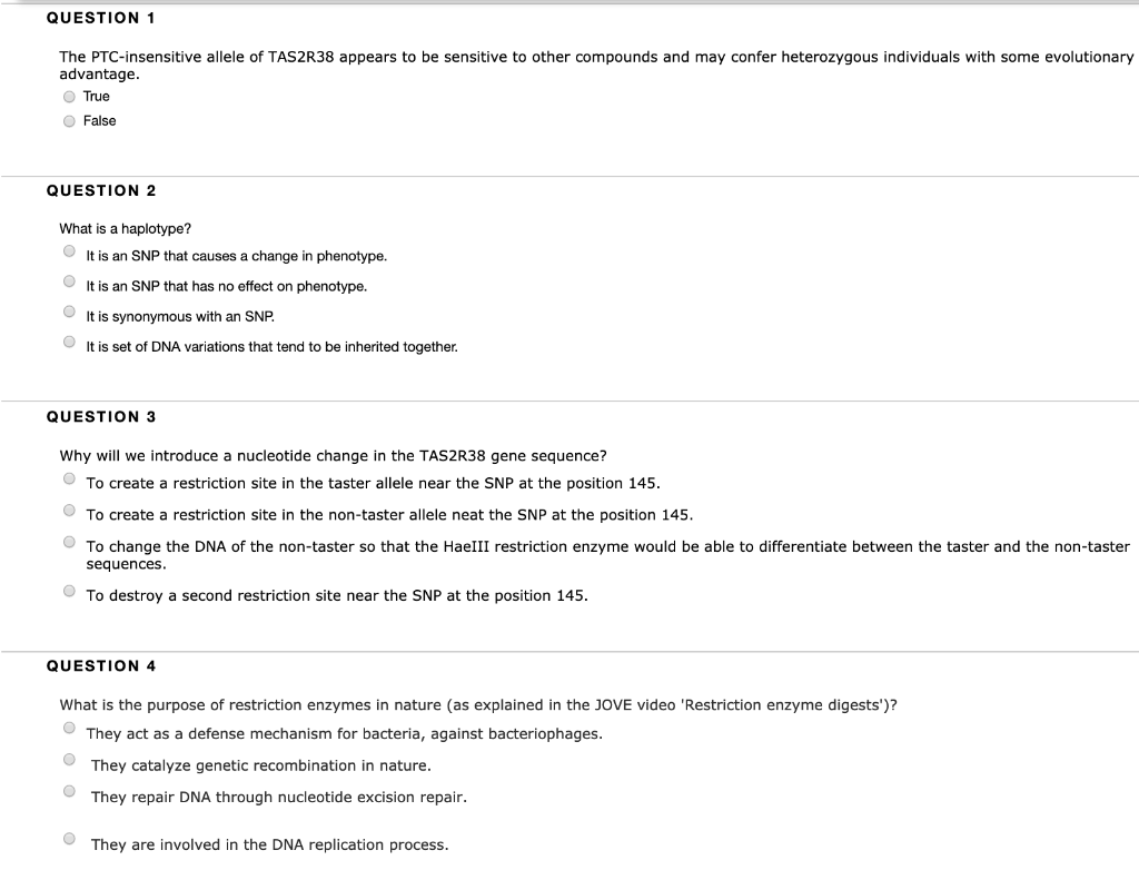 Solved QUESTION 1 The PTC-insensitive allele of TAS2R38 | Chegg.com