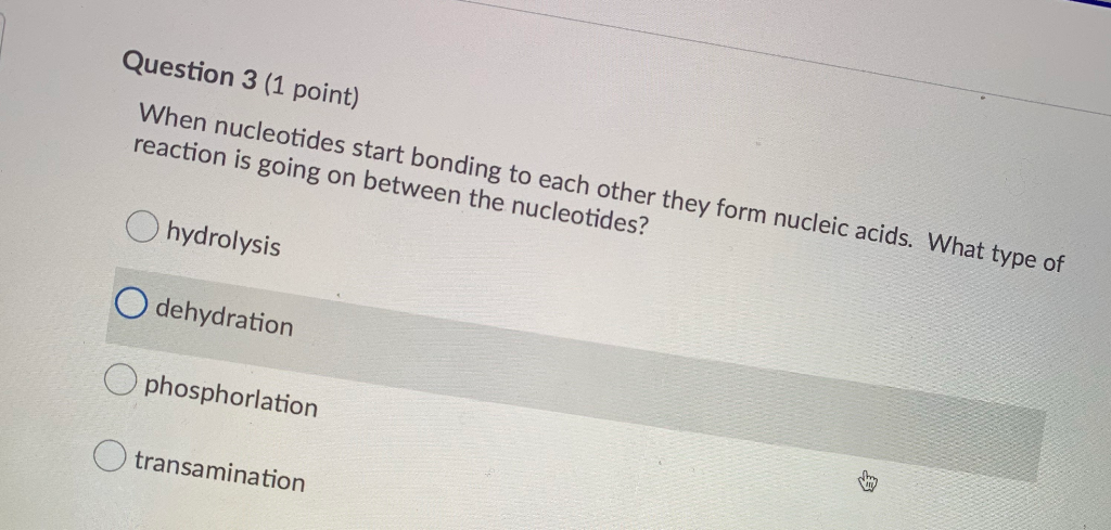 Solved Question 5 (2 points) The informational strand of a | Chegg.com