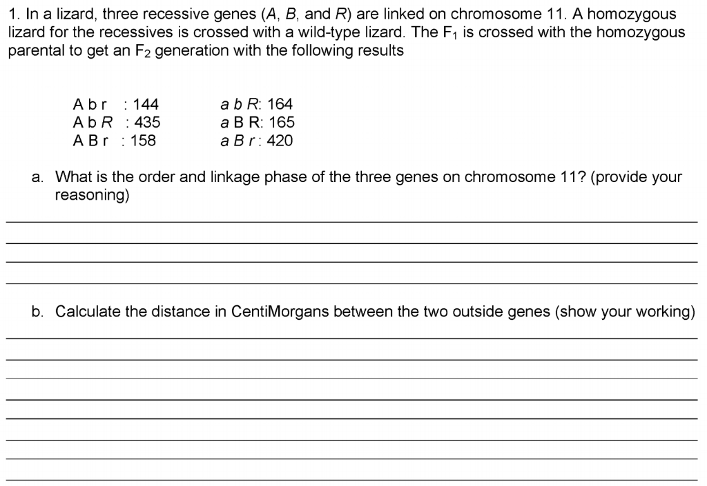 Solved 1. In a lizard, three recessive genes (A, B, and R) | Chegg.com