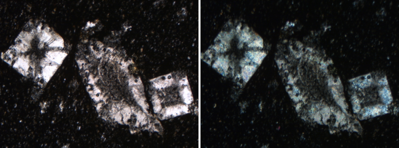 Solved PPL x4 XPL PPL x4 XPL Mineral variety textural | Chegg.com