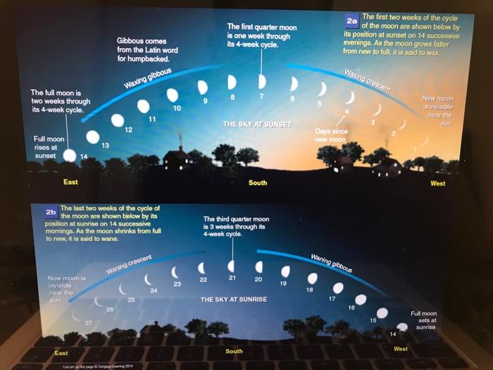 Solved Moon in the Sky? In the figure below the Moon phases | Chegg.com