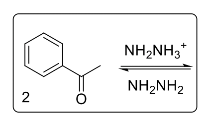 Solved NH2NH3+ NH2NH2 | Chegg.com