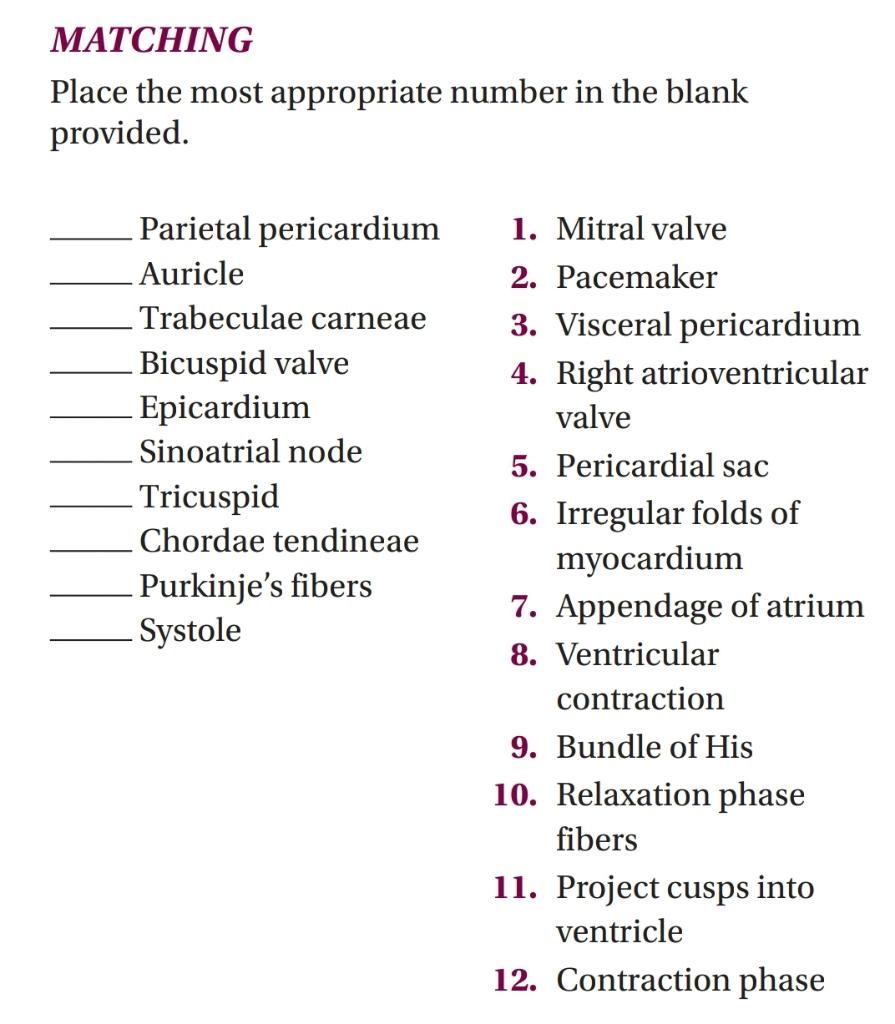Solved MATCHING Place the most appropriate number in the | Chegg.com