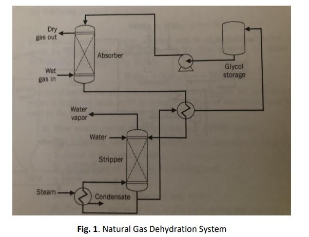 Consider the process shown in Fig. 1. This process is | Chegg.com