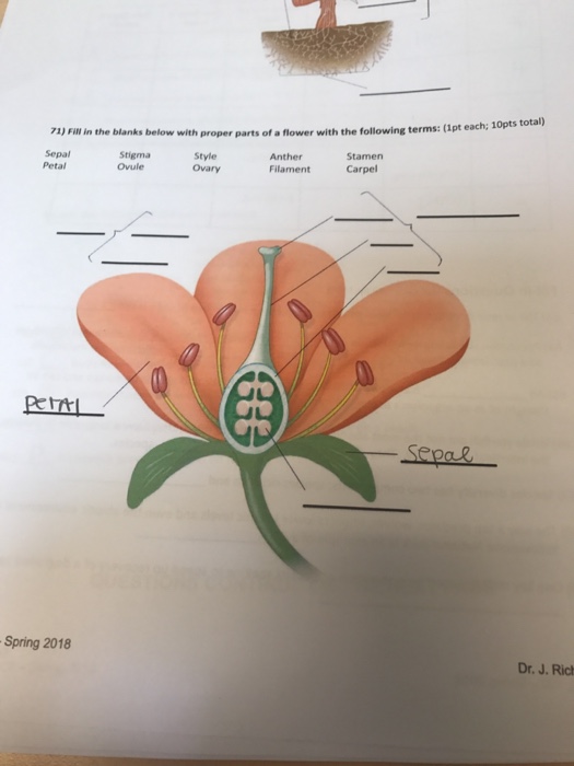 Solved 0pts total) 71) Fill in the blanks below with proper | Chegg.com
