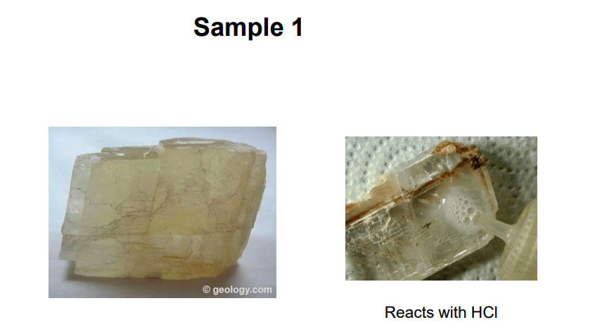 Solved Sample 1 Ⓒgeology.com Reacts with HCI Sample | Chegg.com