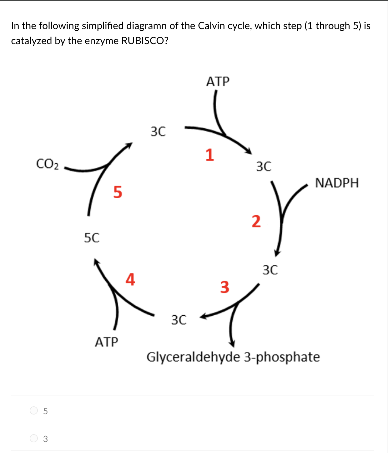 Solved In the following simplified diagramn of the Calvin | Chegg.com