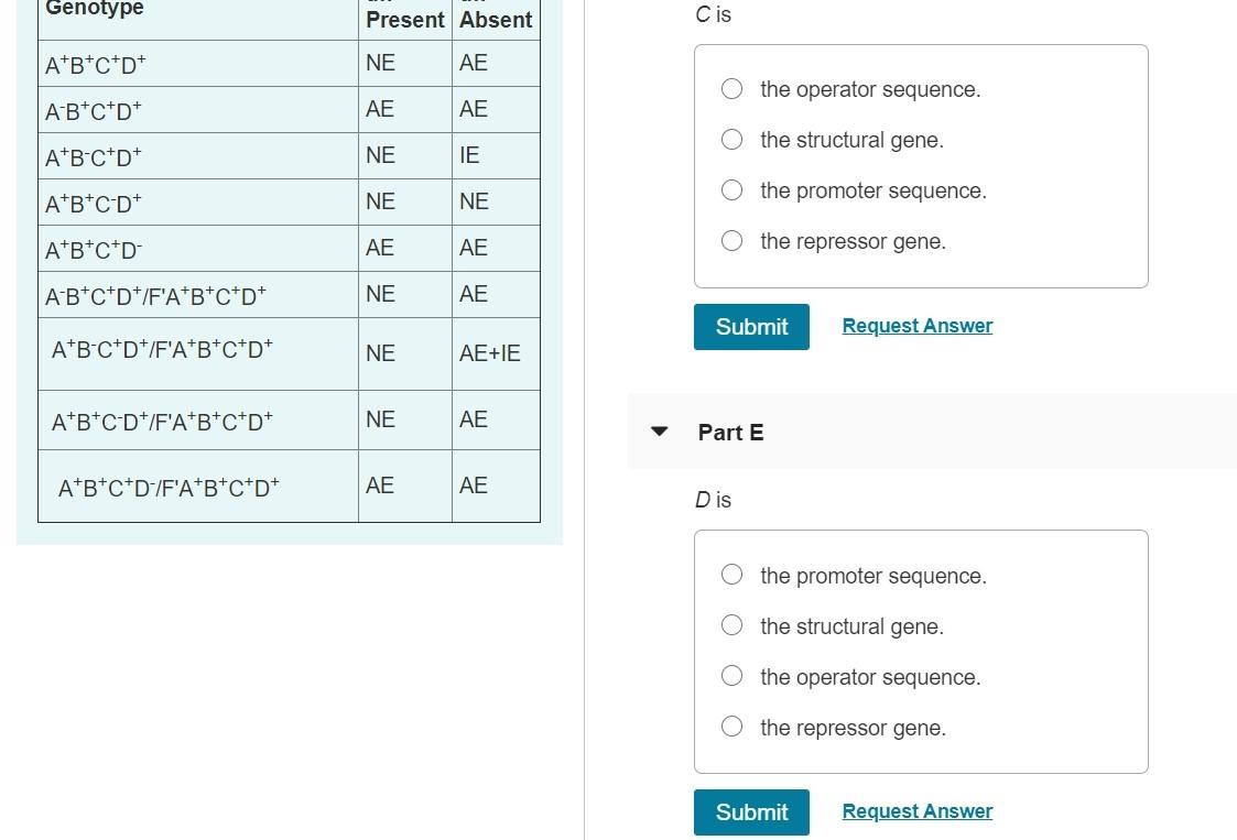 Solved In a theoretical operon, genes A, B, C, and D | Chegg.com