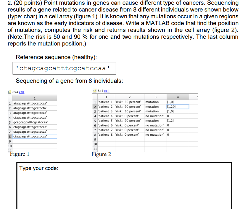 Solved 2. (20 points) Point mutations in genes can cause | Chegg.com
