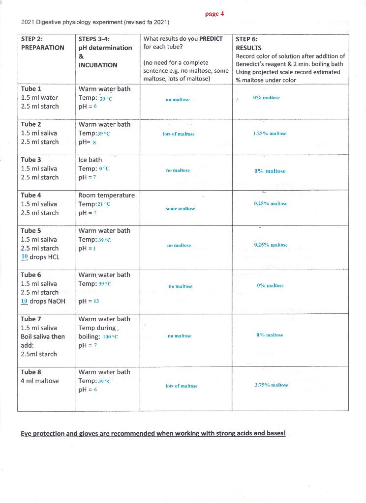 Solved Starch digestion by salivary amylase and the presence | Chegg.com