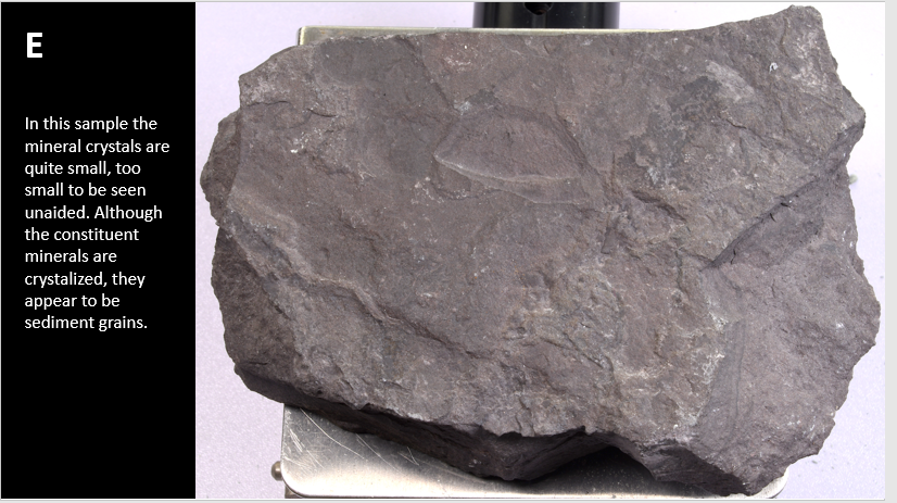 Solved Use the Metamorphic rock images file and the | Chegg.com