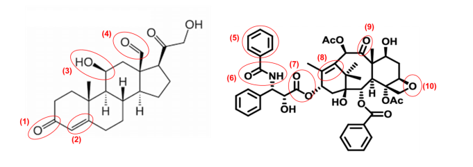 Solved Identify the functional groups of the encircled parts | Chegg.com Solved Identify the functional groups of the encircled parts | Chegg.com