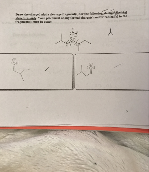 Solved Draw the charged alpha cleavage fragment(s) for the | Chegg.com