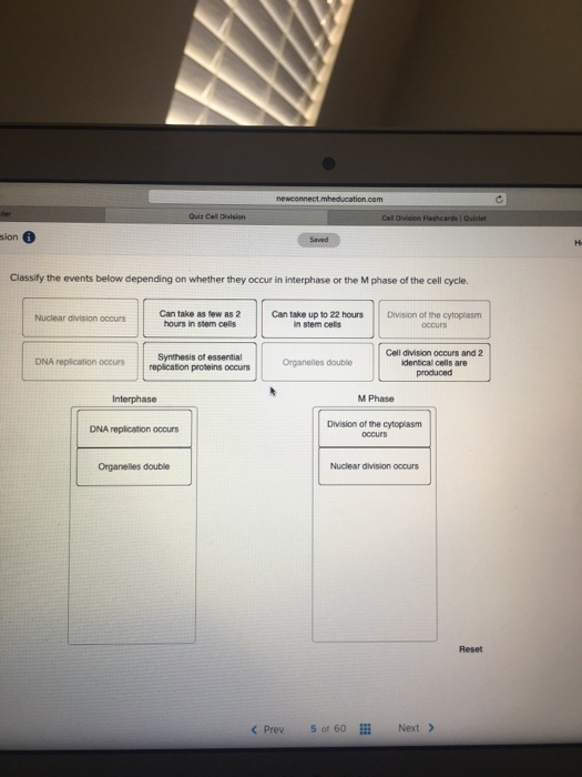 Solved Cell sion 6 Classify the events below depending on | Chegg.com