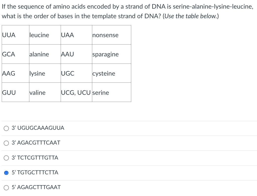 Solved If the sequence of amino acids encoded by a strand of | Chegg.com