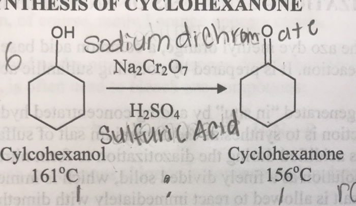 Synthesis Cyclohexanone