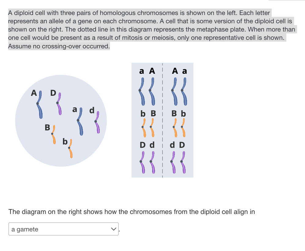 Solved A diploid cell with three pairs of homologous | Chegg.com