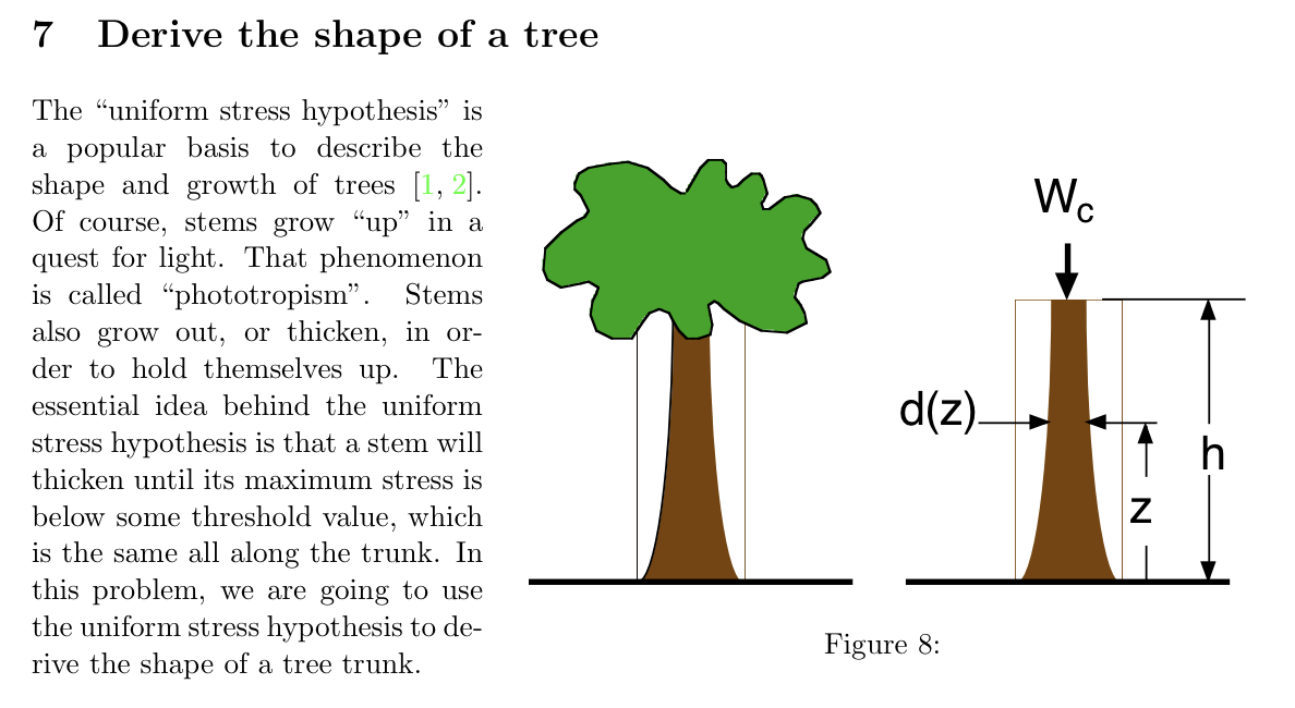 7 Derive the shape of a tree The “uniform stress | Chegg.com